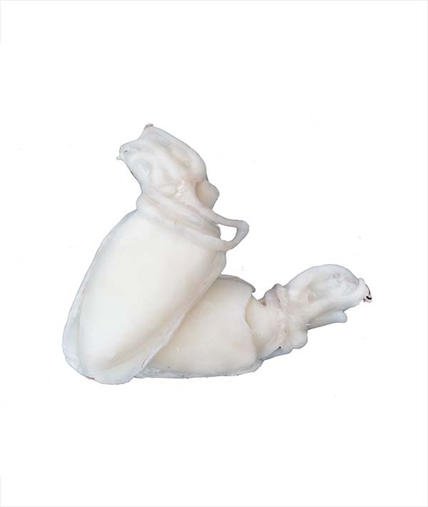 SEPPIA PULITA INDIA FAO51 60/UP IQF JP g 800