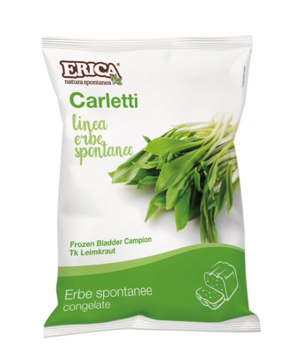 CARLETTI ERICA GR 500