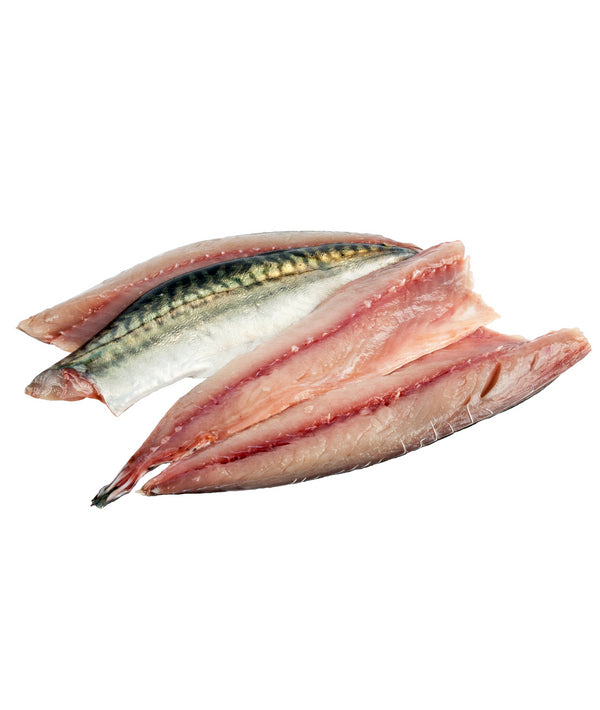 SGOMBRO NOSTRANO SFILETTATO