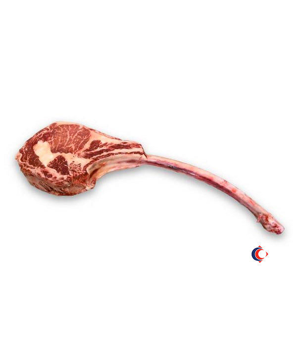TOMAHAWK BRASLAVIA VALDORA